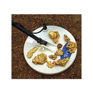 Prospecting for Gold @ ExplorOz Articles