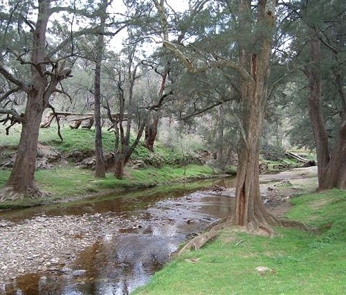 Abercrombie River NP