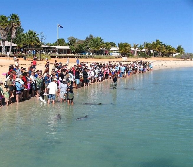 Shark Bay and Monkey Mia