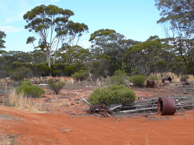 Great Western Woodlands