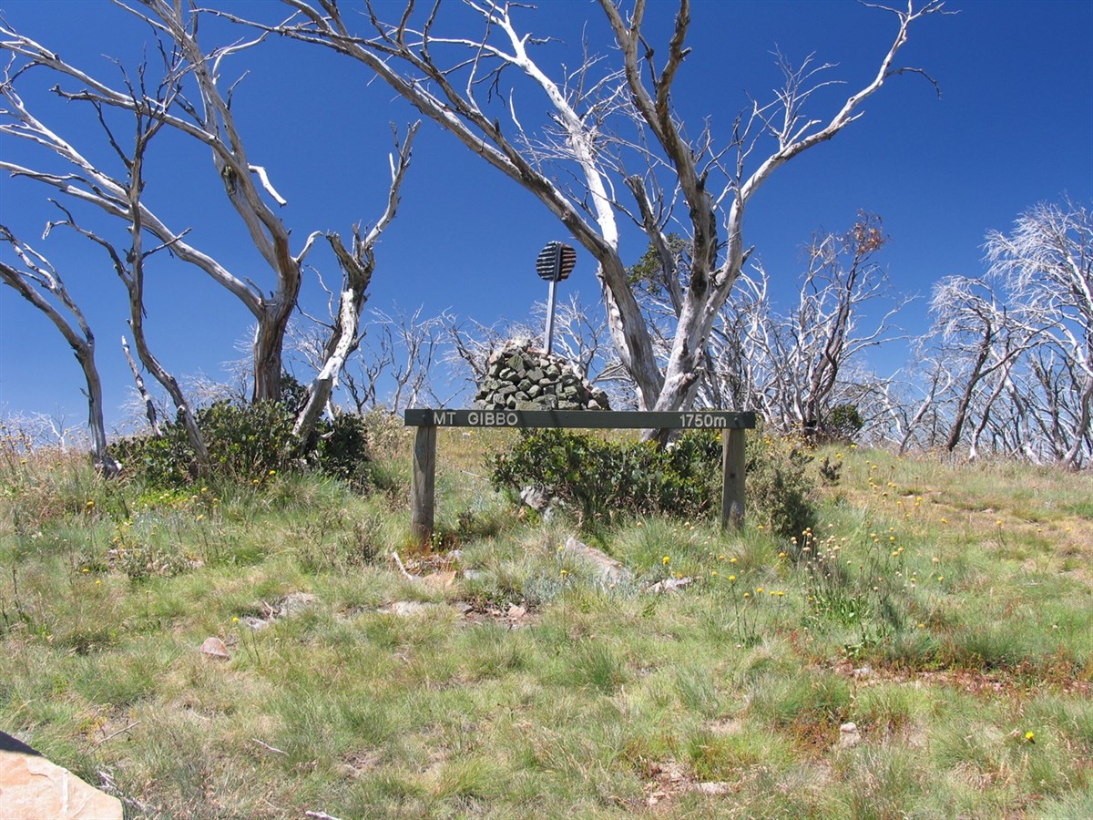 Mount Gibbo VIC