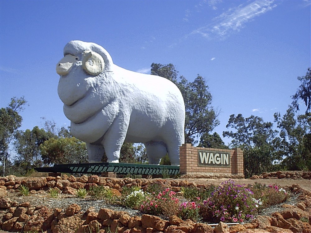 Wagin WA @ ExplorOz Places