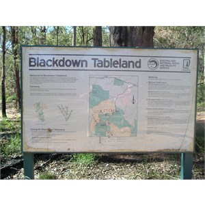 Blackdown Tableland National Park QLD
