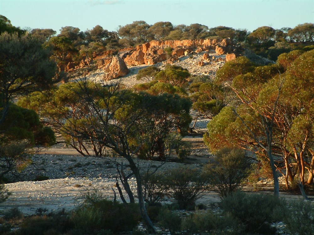 Niagara Dam Nature Reserve WA @ ExplorOz Places