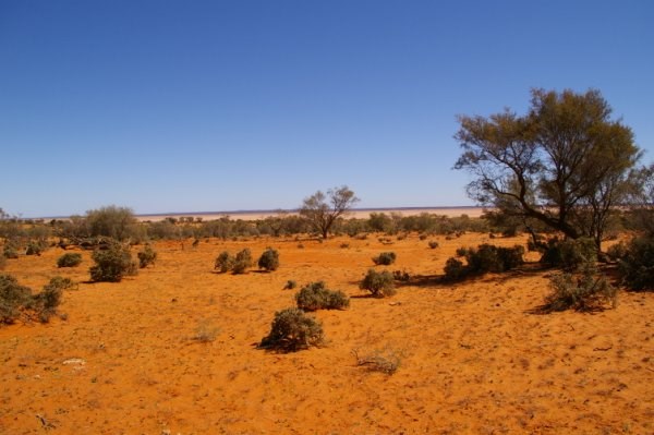 Lake Moore WA @ ExplorOz Places