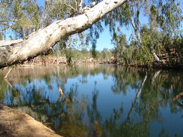 Wearyan Waterhole and Falls NT @ ExplorOz Places