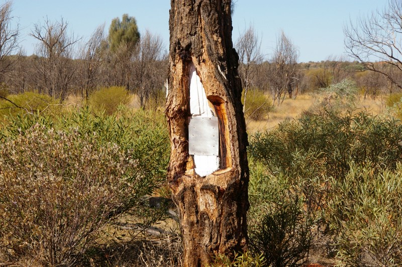 Len Beadell Blaze Tree WA