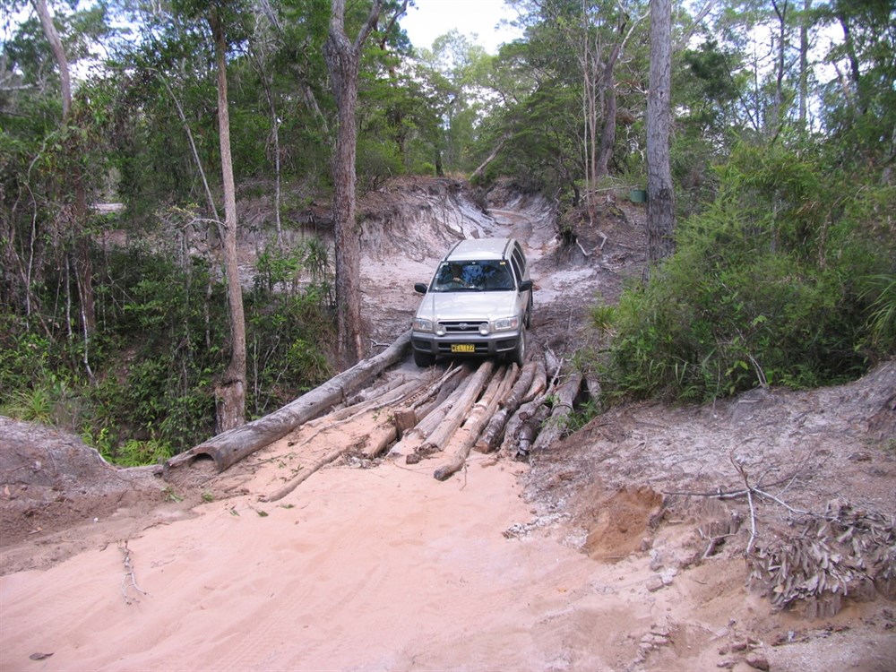 Telegraph Track - Cypress Creek QLD @ ExplorOz Places