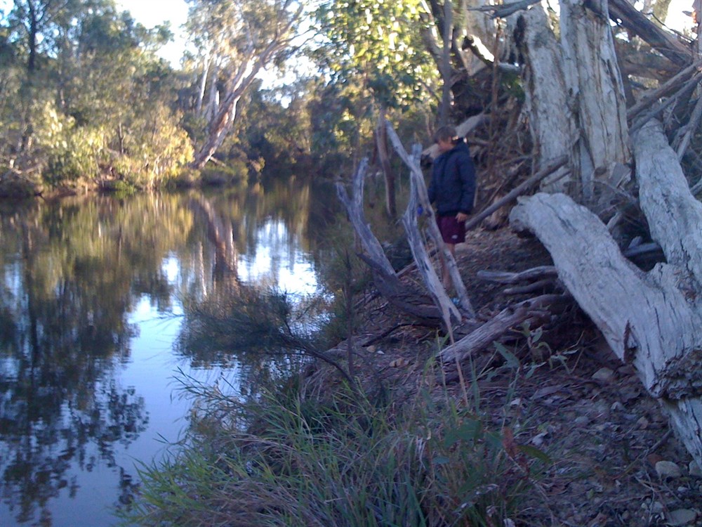 Walsh River North QLD QLD @ ExplorOz Places