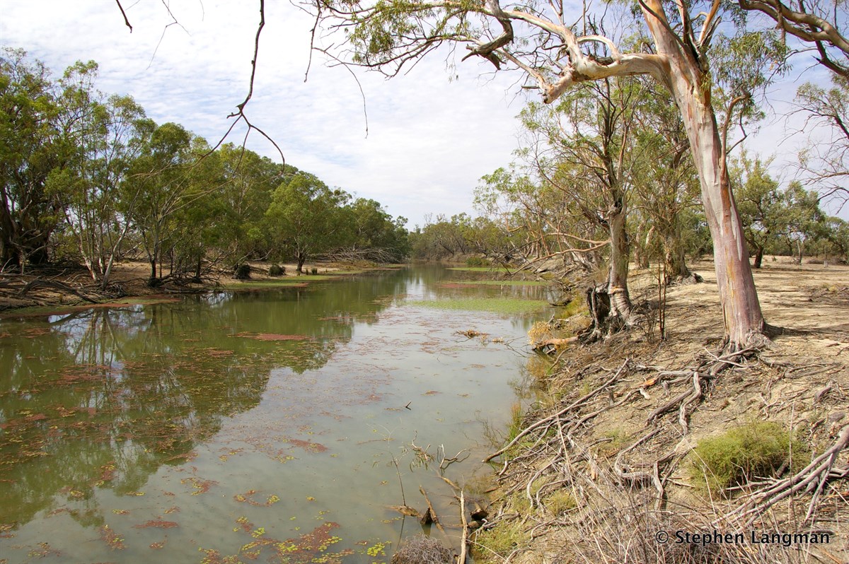 The Old Coach Road - Chowilla Game Reserve @ ExplorOz Blogs