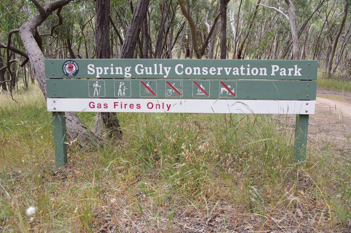 Spring Gully Conservation Park & Eucalyptus macrorhyncha - Red ...