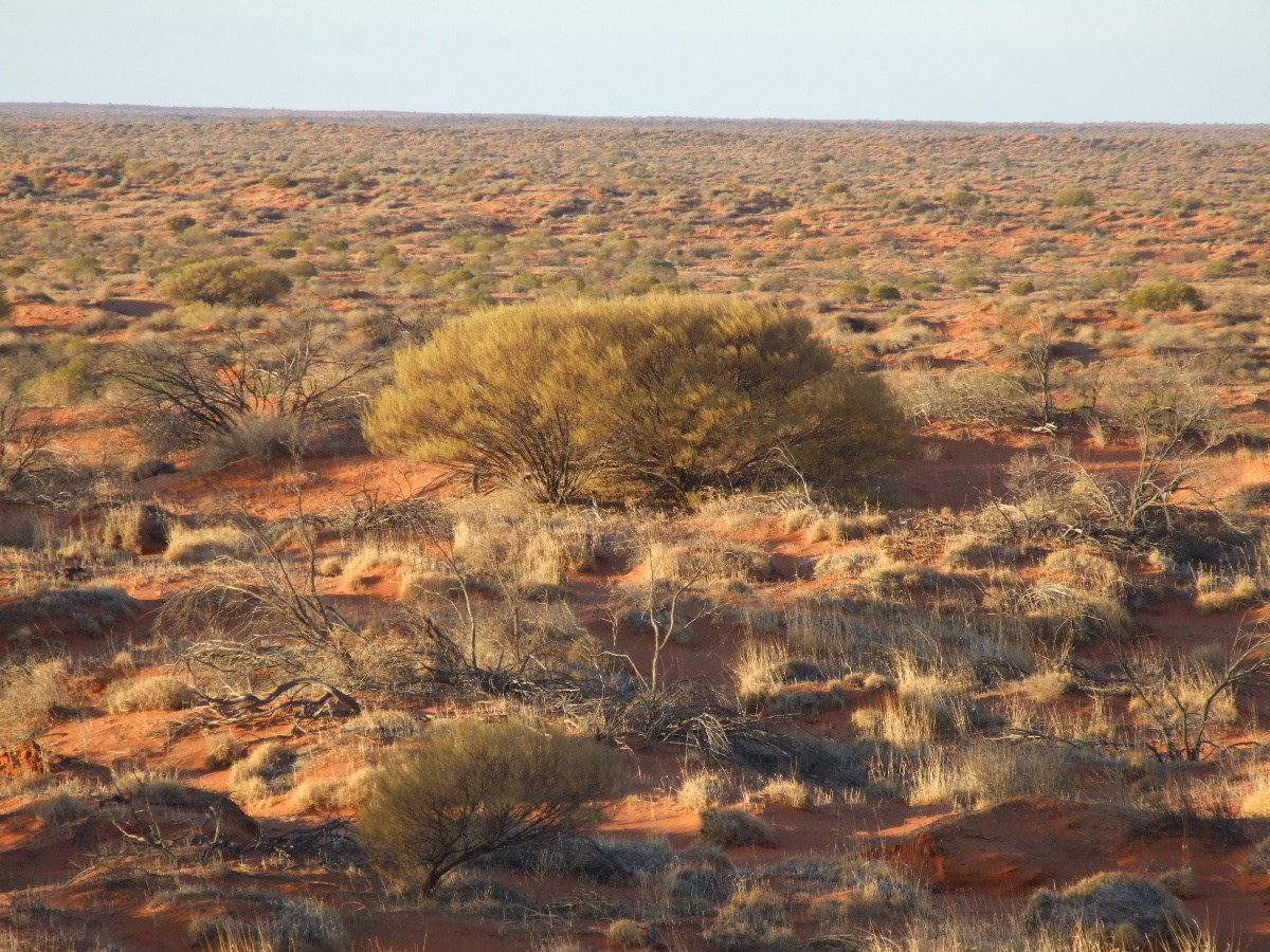 True remote Simpson Desert Travel - Simpson Geo Expedition ‘06 ...