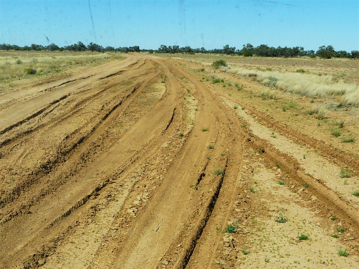 2011 BETOOTA RACES, BIRDSVILLE RACES and BIG RED @ ExplorOz Blogs