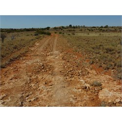 2011 BIRDSVILLE - THE DOG FENCE - SILVERTON @ ExplorOz Blogs