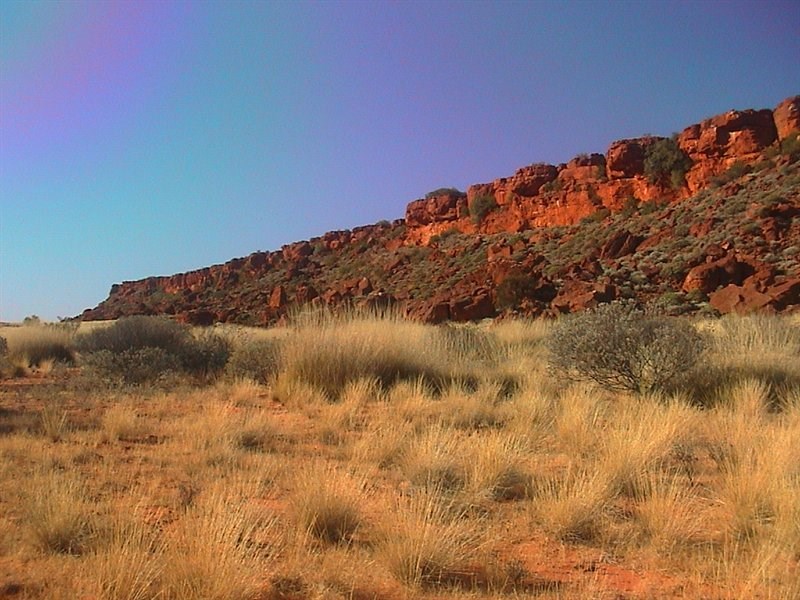 Canning Stock Route Day 8 - Calvert Range to Durba Springs @ ExplorOz Blogs