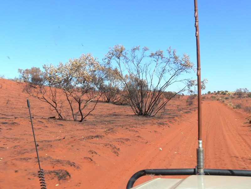 Western Australia Trip 2012 – Part 4 : Warburton to Neale Junction ...