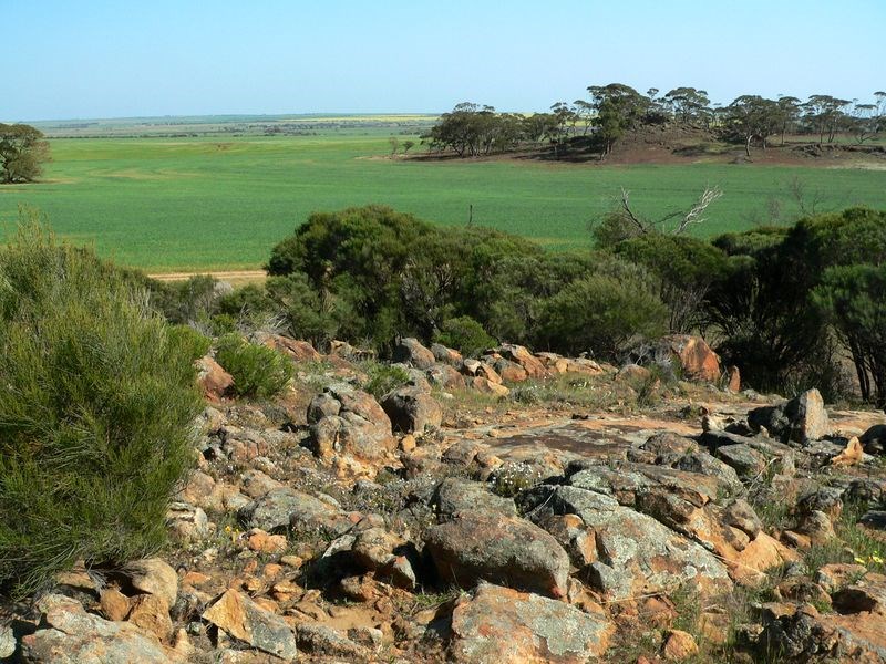 Western Australia Trip 2012 – Part 11 : Caron to Jilakin Rock ...