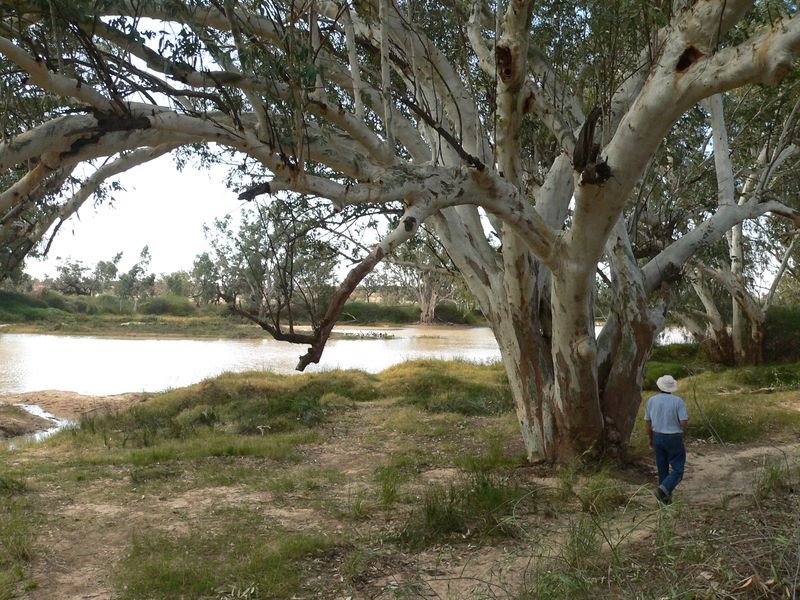 Simpson Desert and Batten Hill Trip, 2007- Part 10 Coongie Lakes to ...