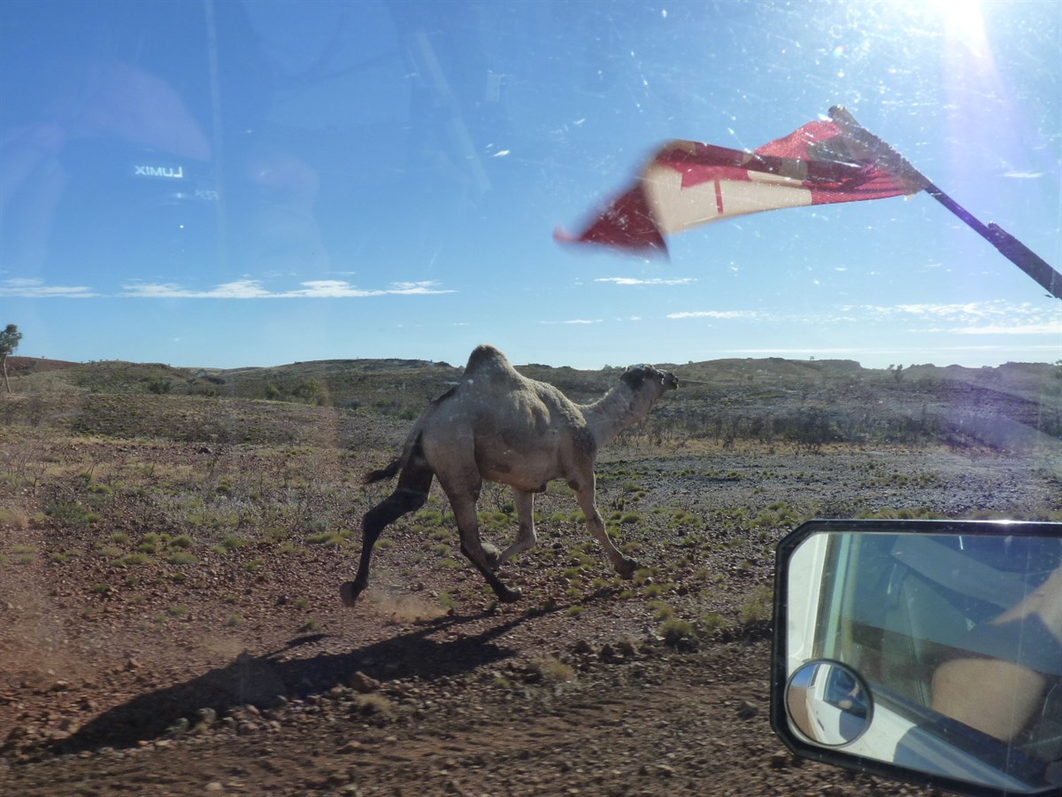 The Pilbara - Carrawine Gorge, Running Waters (Eel Pool) and the Skull ...