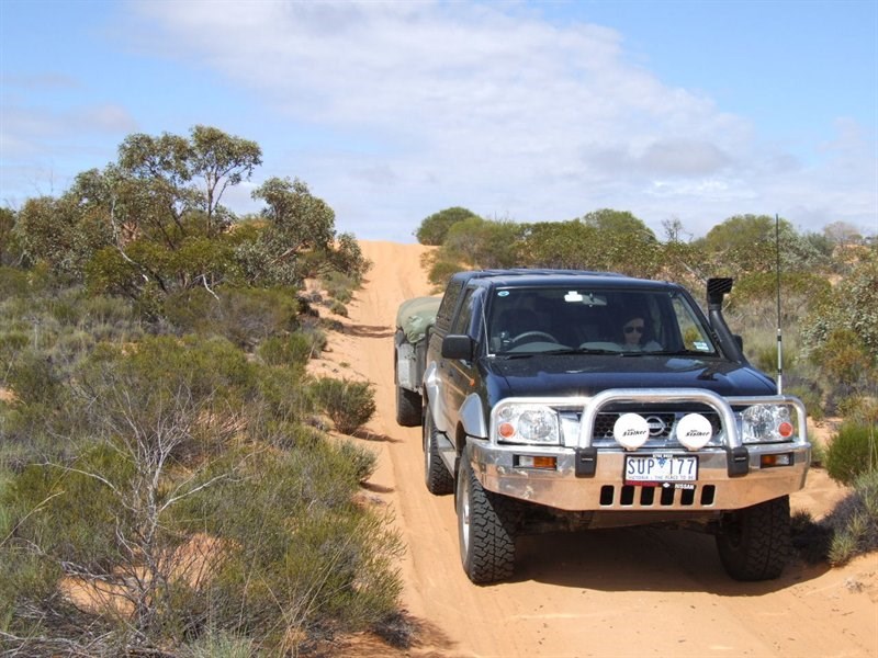 Googs Track SA - Bats, Mount Finke & musings on tackling the monster ...