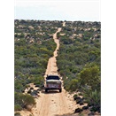 Googs Track SA - Bats, Mount Finke & musings on tackling the monster ...