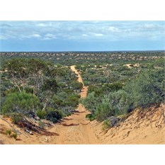 Googs Track SA - Bats, Mount Finke & musings on tackling the monster ...