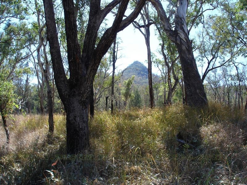 Mount Moffatt – the roof of Queensland in the Carnarvon National Park ...