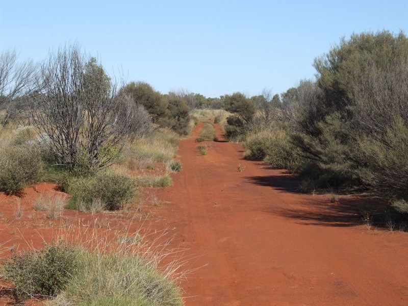 The David Carnegie Road & The Gunbarrel Hwy to Carnegie Station W.A ...