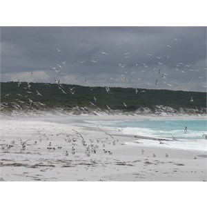 Point Ann WA @ ExplorOz Places