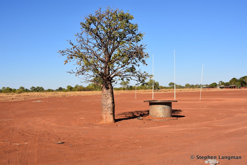 Mindibungu (Billiluna Community) WA @ ExplorOz Places