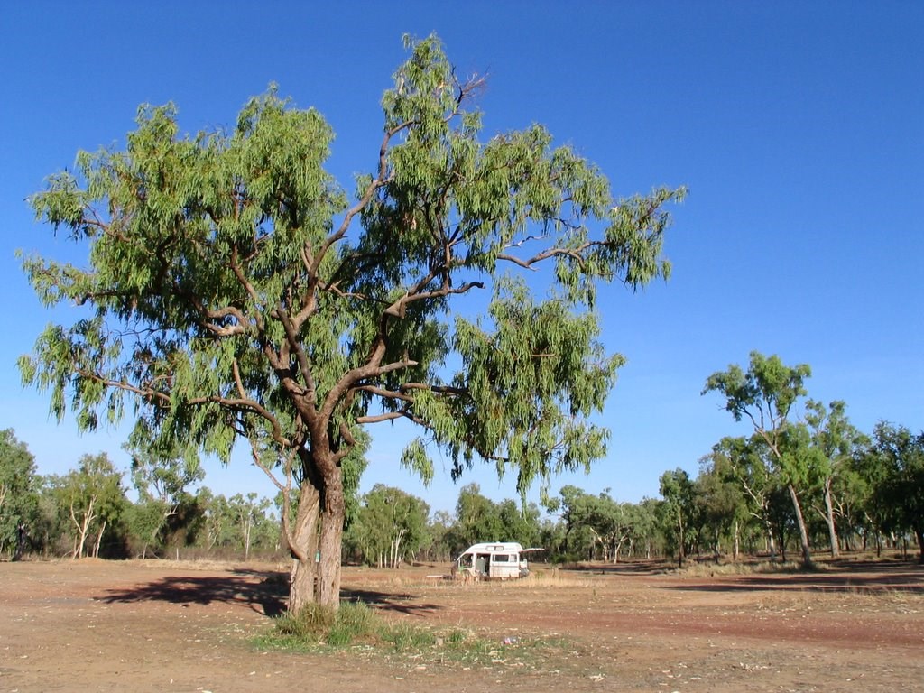 Gilbert River Rest Area QLD