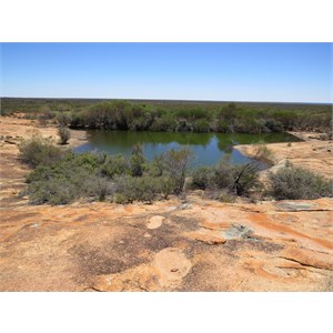 Wallaroo Rock WA @ ExplorOz Places