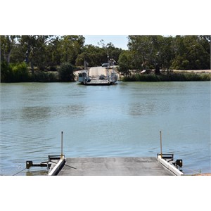 Lyrup Ferry Crossing SA @ ExplorOz Places