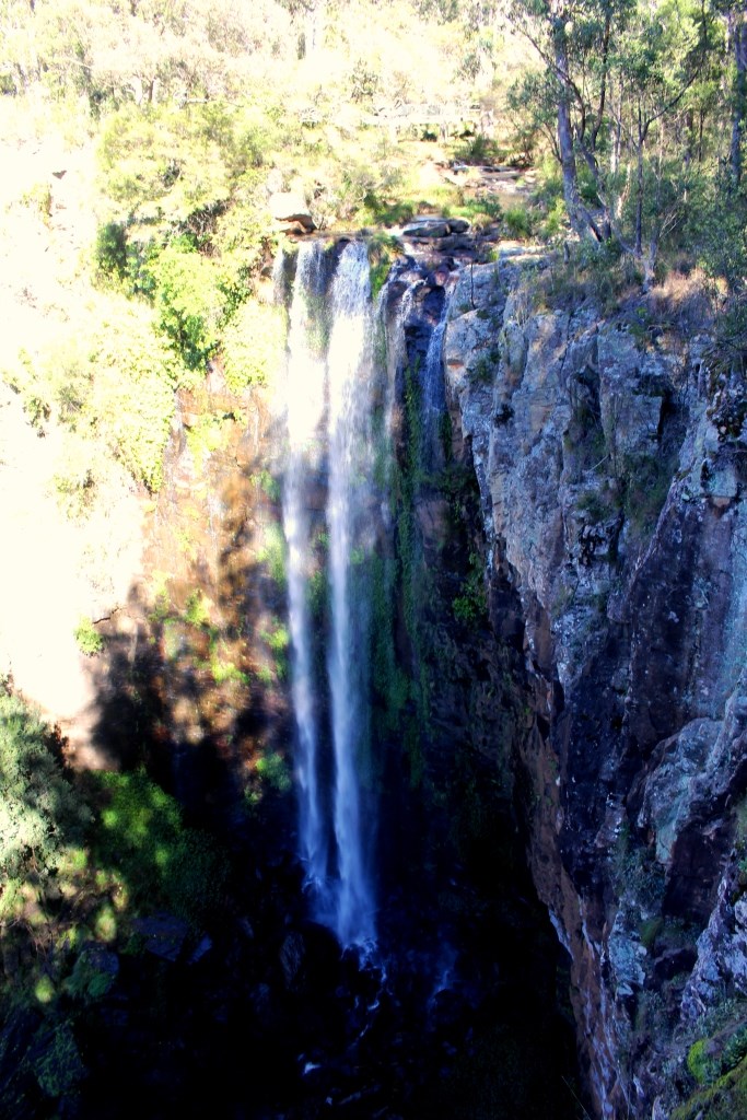 Queen Mary Falls Picnic Area QLD