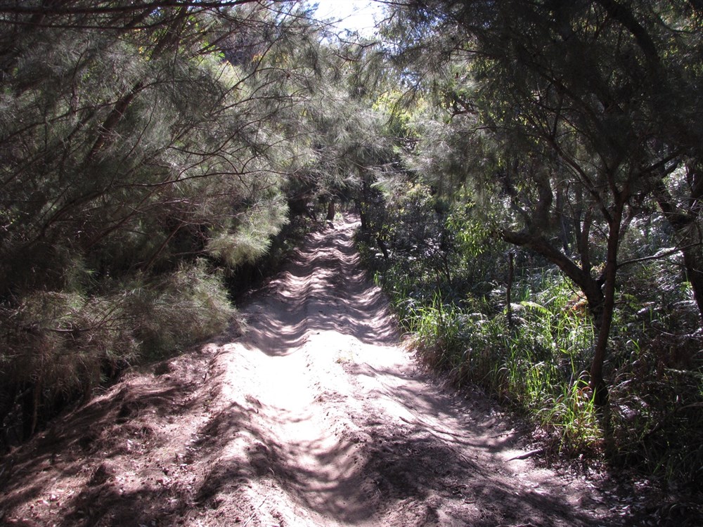 Five Rocks Beach QLD @ ExplorOz Places