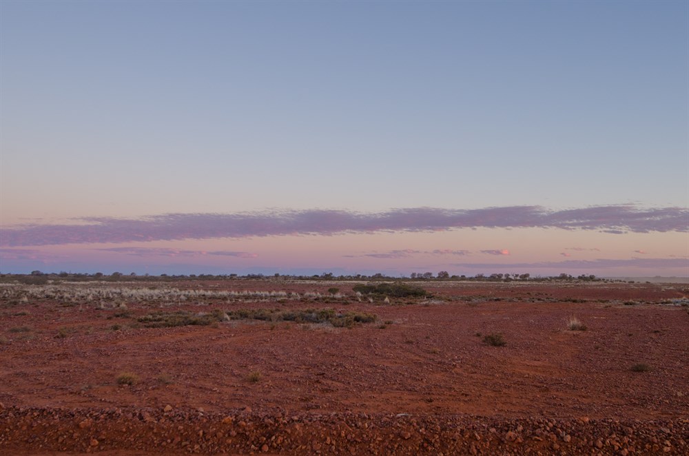 Pedirka Desert - Alchetron, The Free Social Encyclopedia