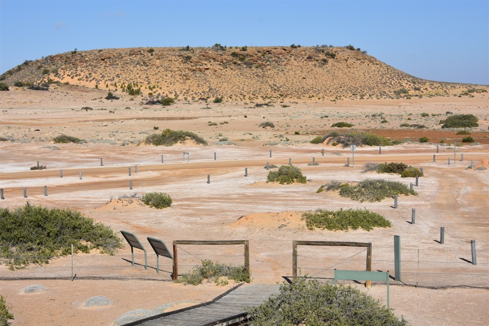 Hamilton Hill SA @ ExplorOz Places