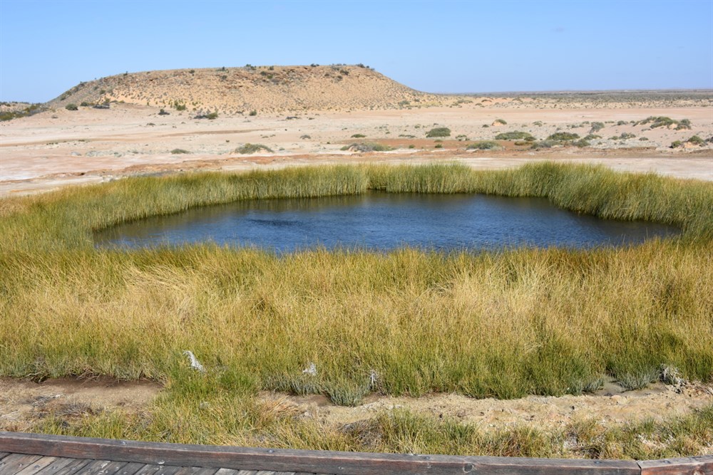 Hamilton Hill SA @ ExplorOz Places