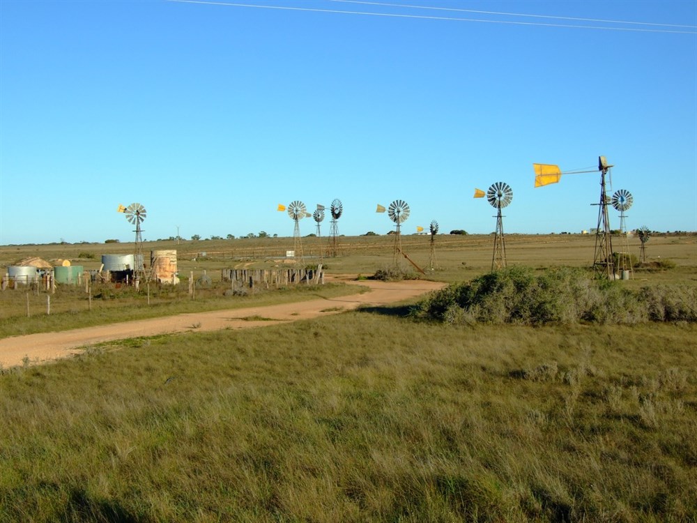 Penong SA @ ExplorOz Places