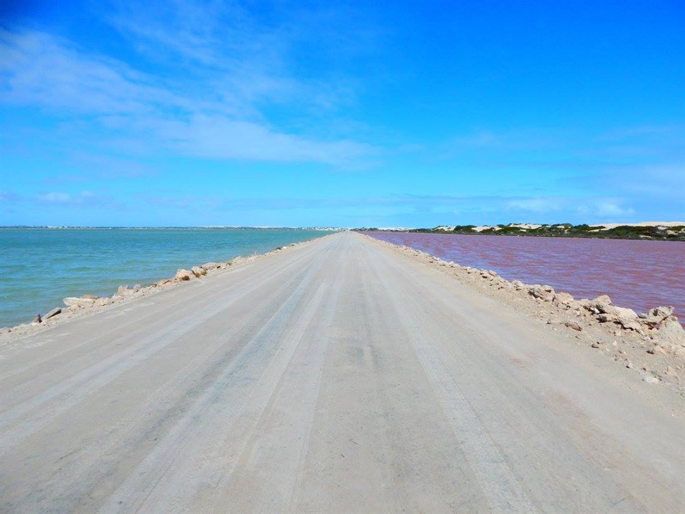 Point Sinclair SA @ ExplorOz Places