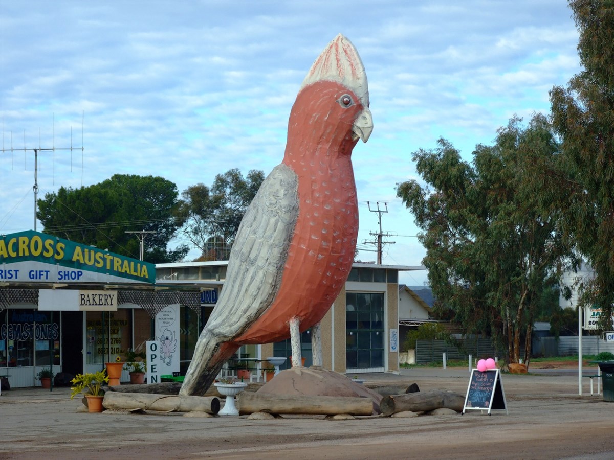 Kimba SA @ ExplorOz Places