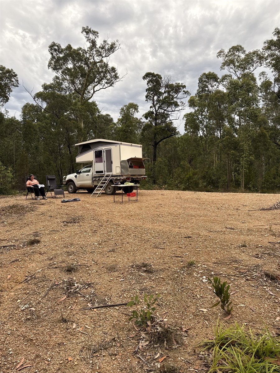 Free camp state forest NSW