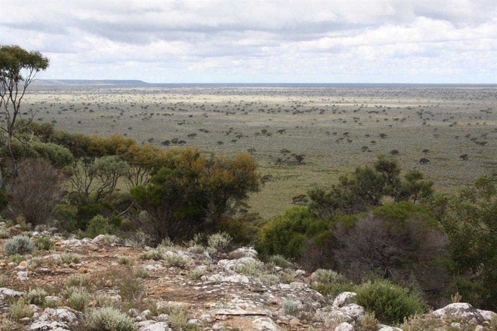 Mundrabilla WA @ ExplorOz Places