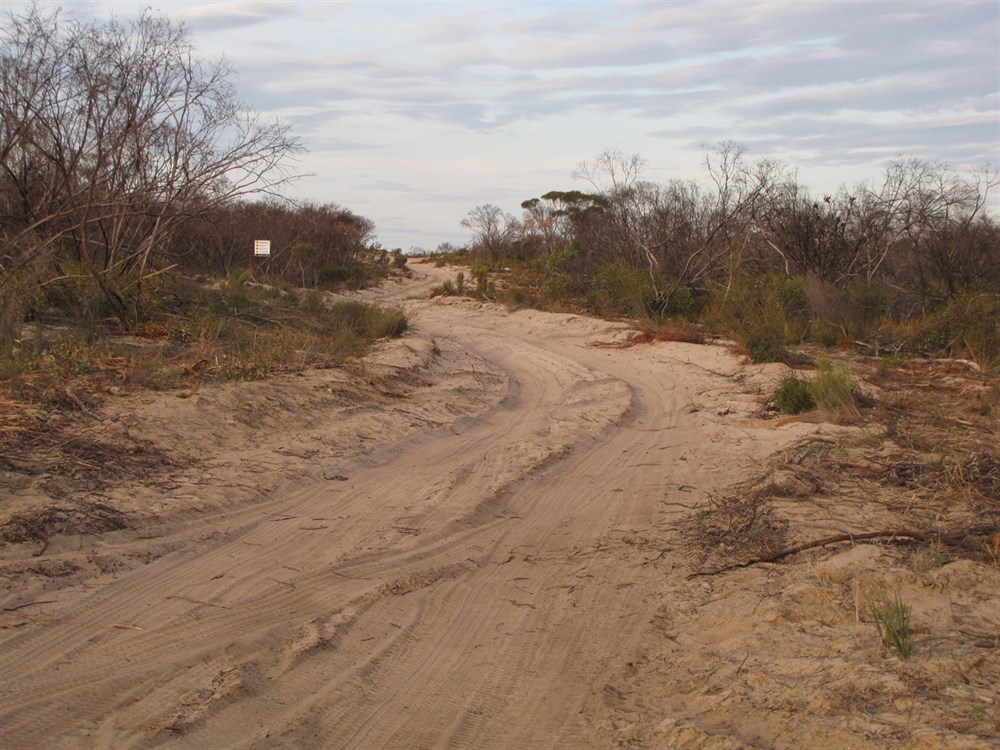 Big Desert Wilderness Park VIC @ ExplorOz Places