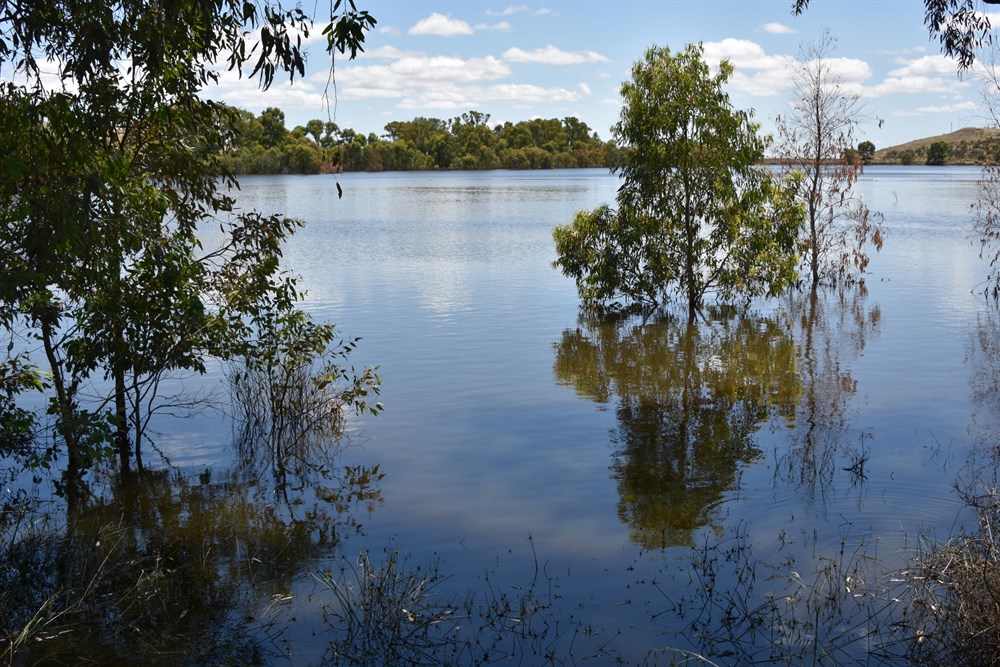 Pekina Creek Reservoir SA @ ExplorOz Places