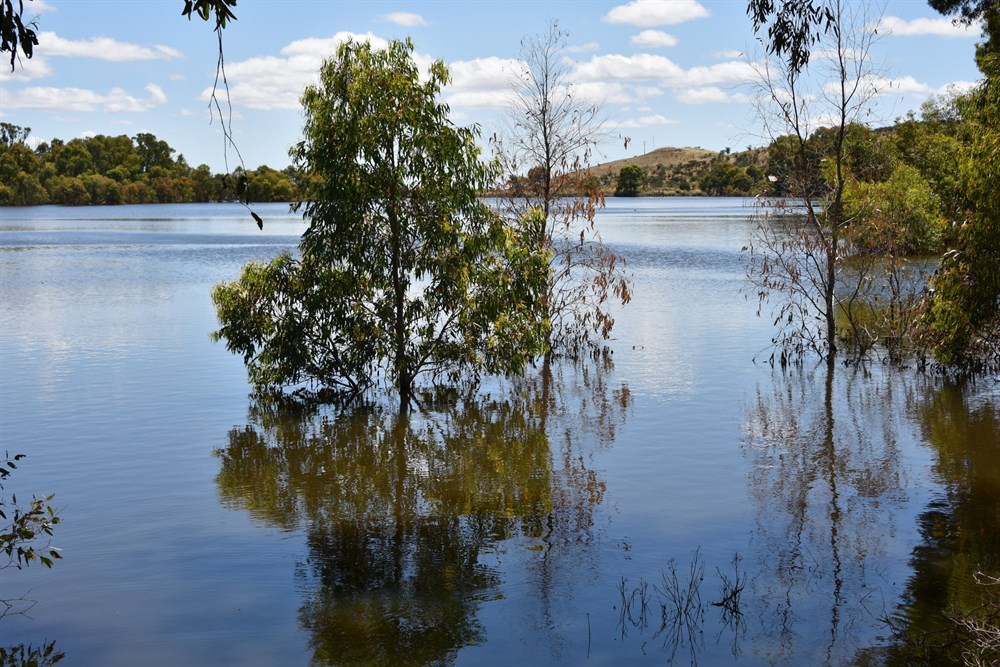 Pekina Creek Reservoir SA @ ExplorOz Places