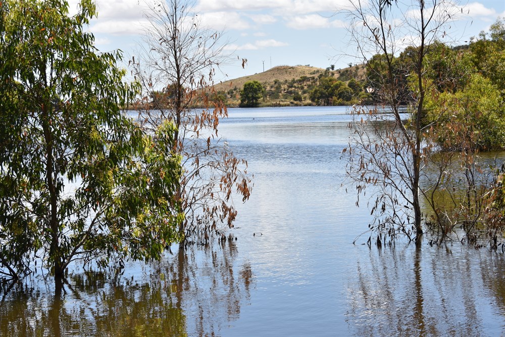 Pekina Creek Reservoir SA @ ExplorOz Places