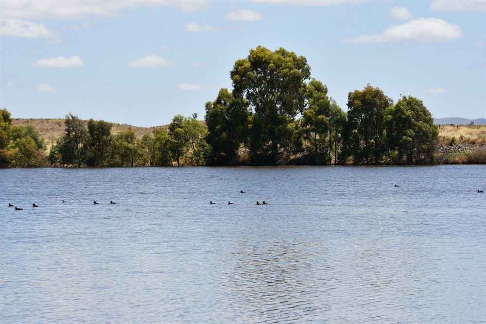 Pekina Creek Reservoir SA @ ExplorOz Places