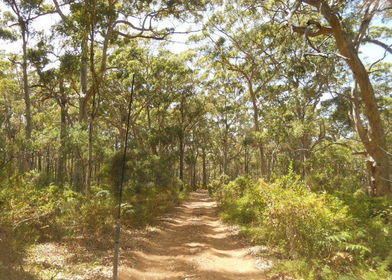 Point Road Campground WA @ ExplorOz Places