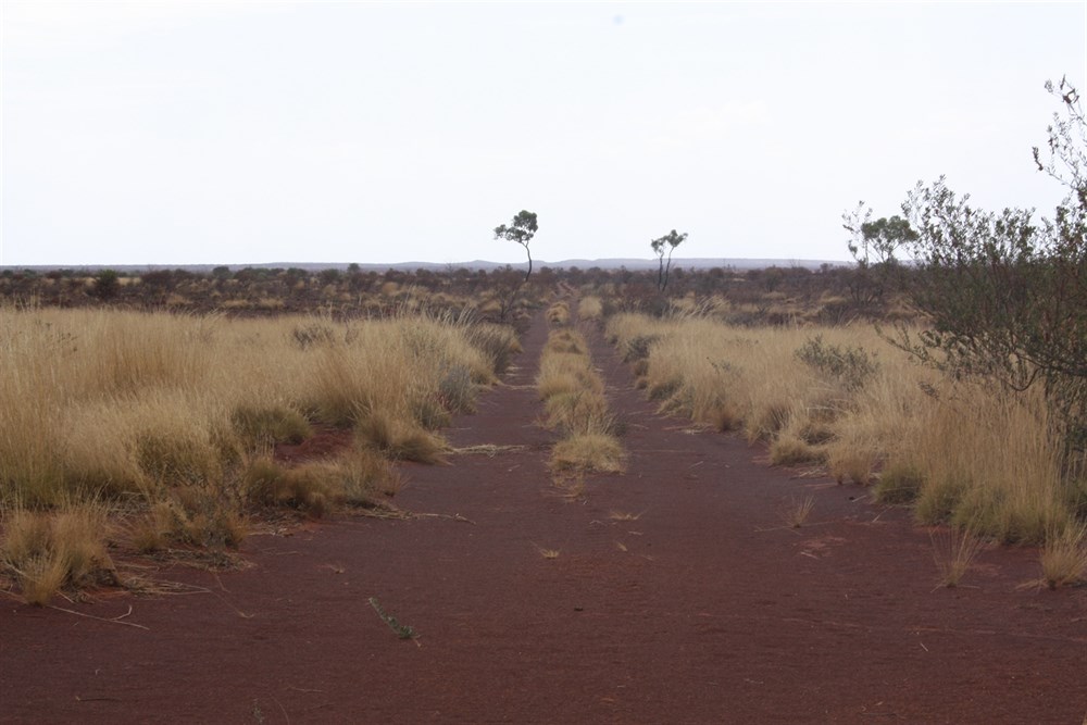 Everard Junction WA @ ExplorOz Places